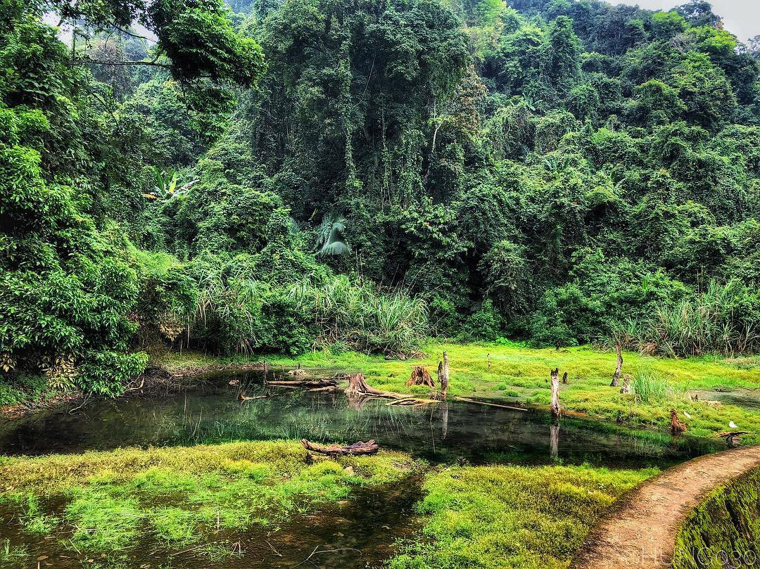 CUC Phuong National Forest Discovery Tour - Color Travel